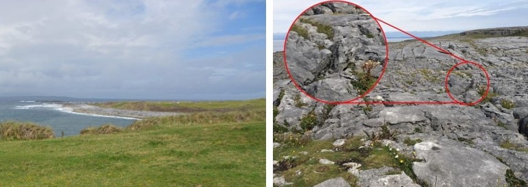 Erosione differenziale: “livelli” di fragilità nelle scogliere di Moher ...
